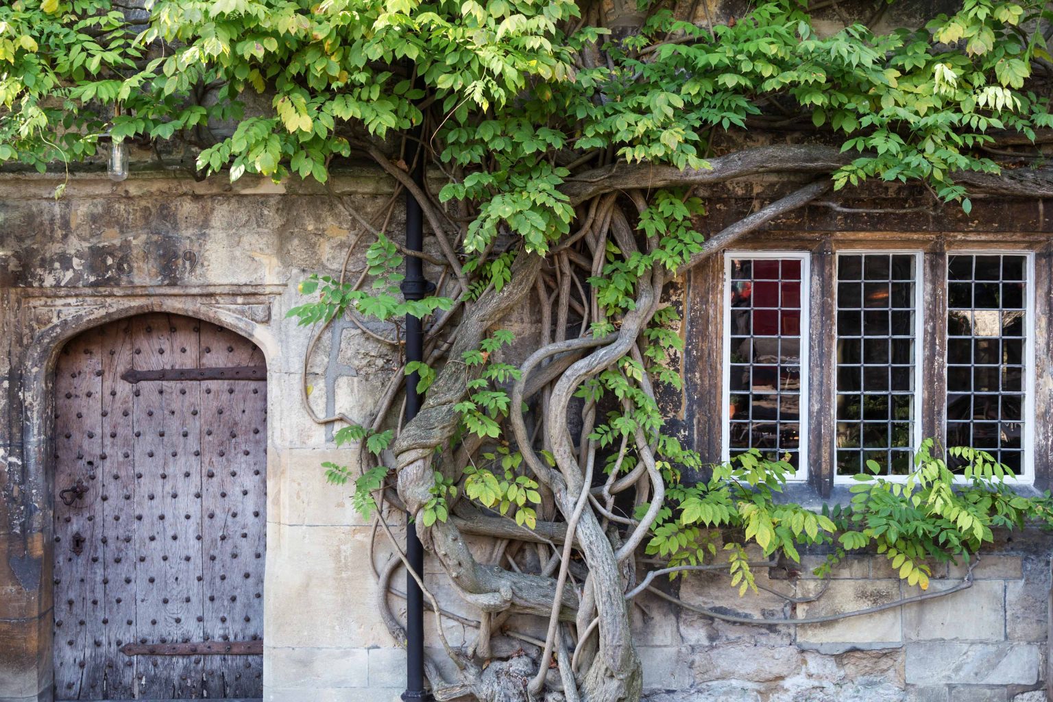 Afternoon Tea Menu, Parsonage Grill, Oxford City Centre